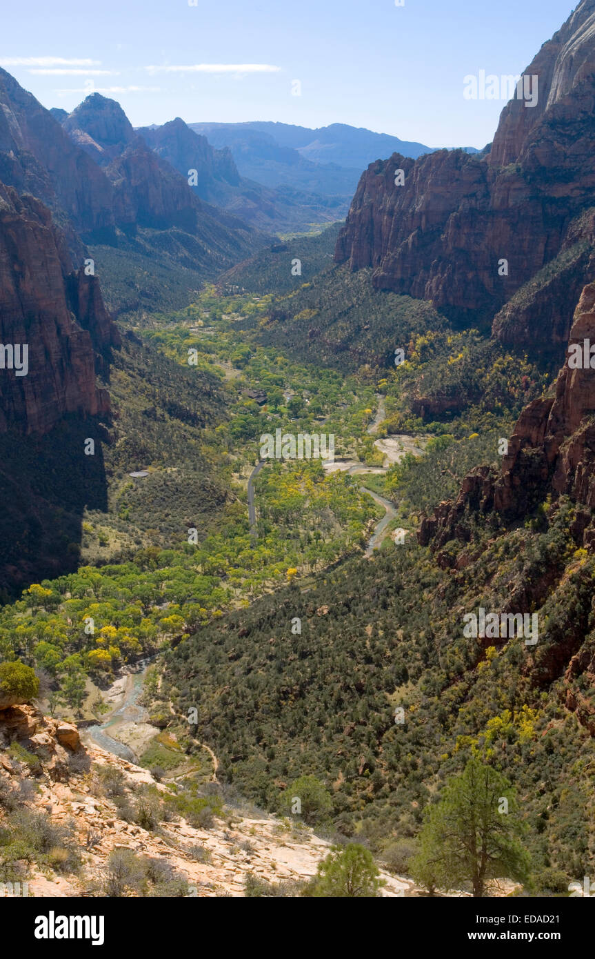 View of Zion National Park gorge from Angels Landing Stock Photo - Alamy
