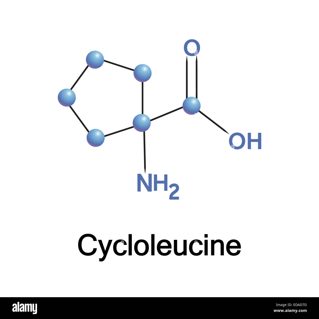 Cycloleucine amino acid Stock Photo - Alamy