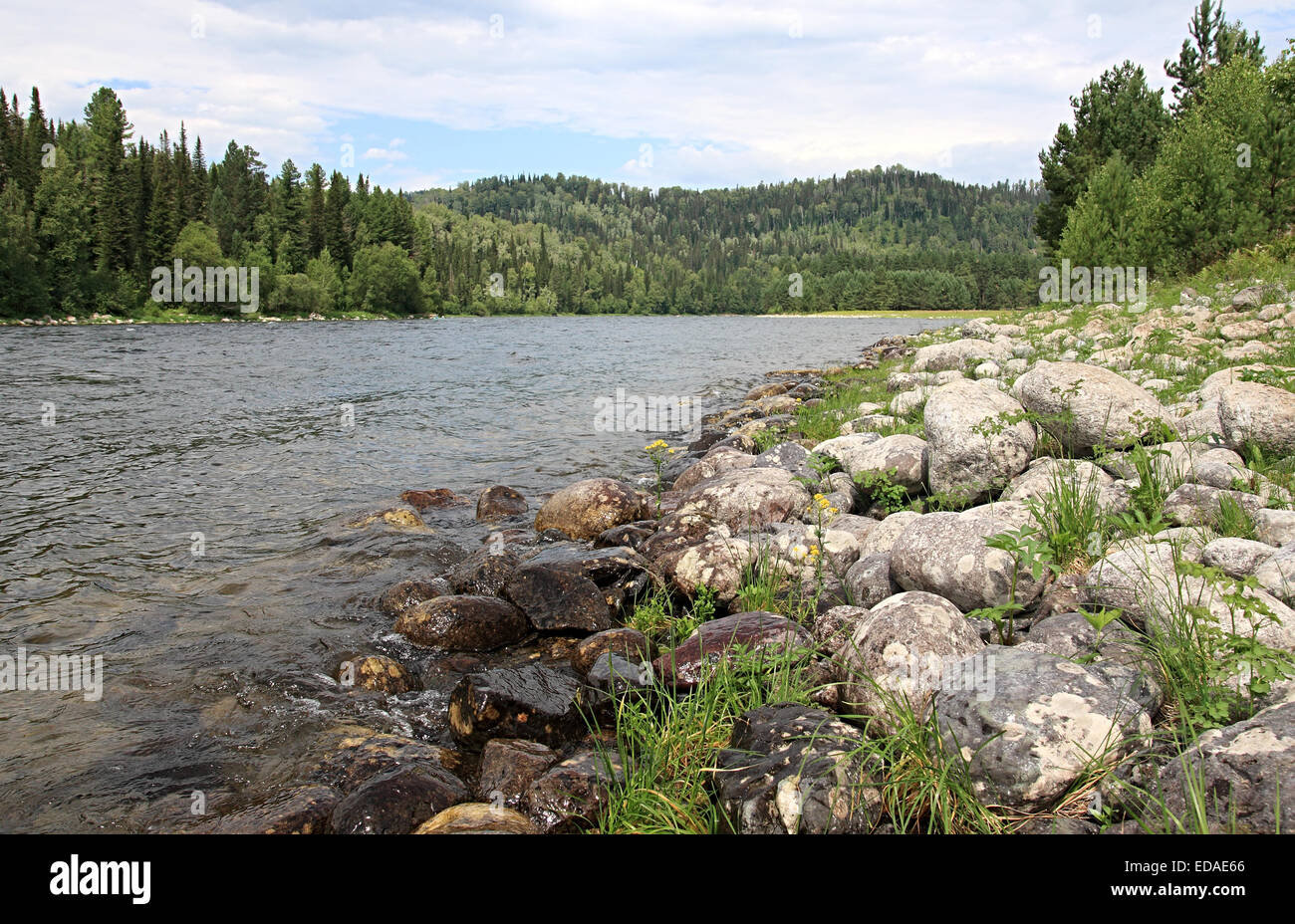 Biya river hi-res stock photography and images - Alamy