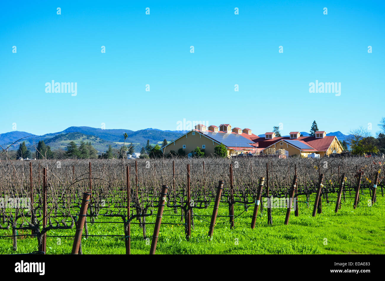 Vine house farm hi-res stock photography and images - Alamy