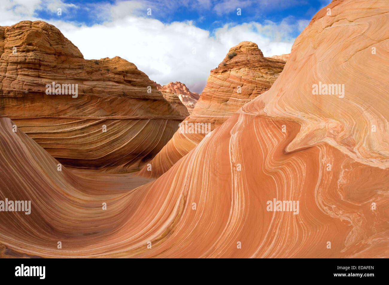 The Wave cuts through a sandstone mountain in the Coyote Buttes area of ...