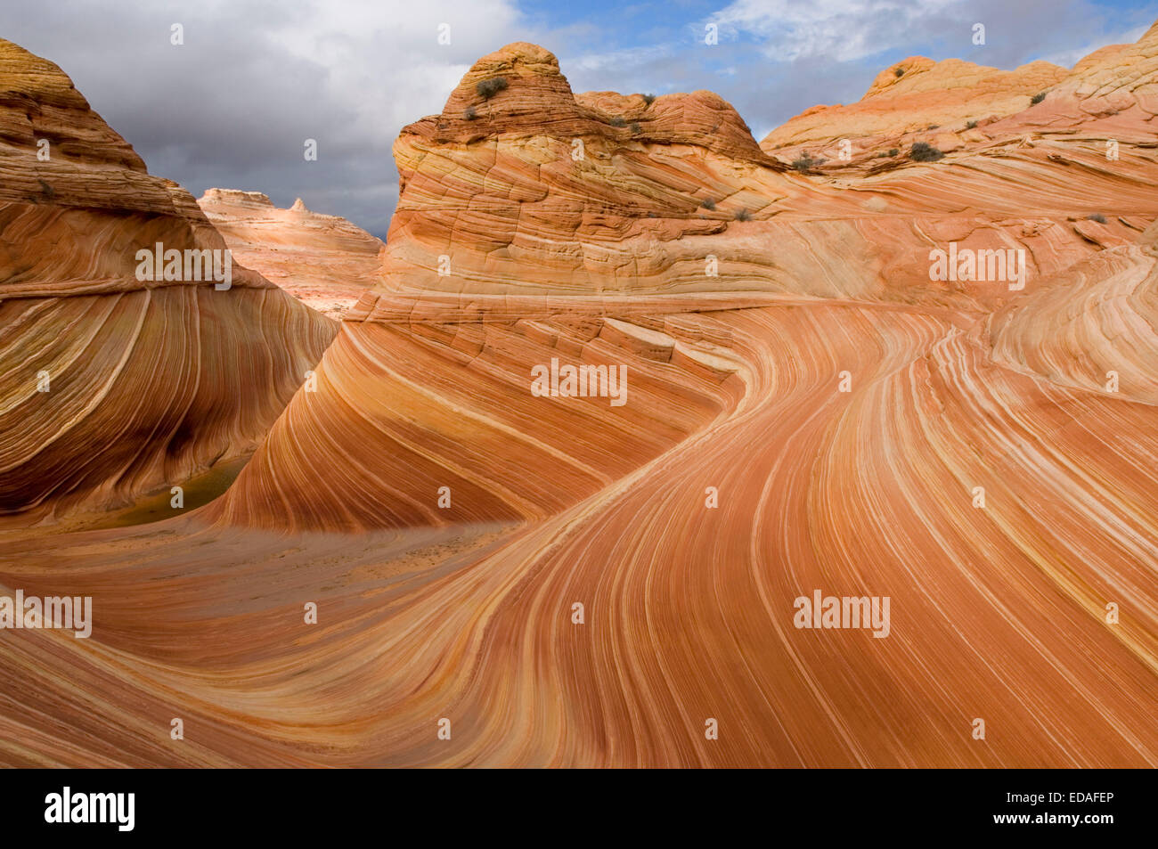 The Wave cuts through a sandstone mountain in the Coyote Buttes area of ...