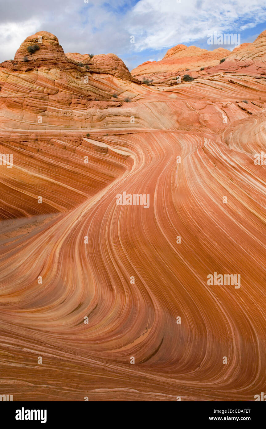 The Wave cuts through a sandstone mountain in the Coyote Buttes area of ...