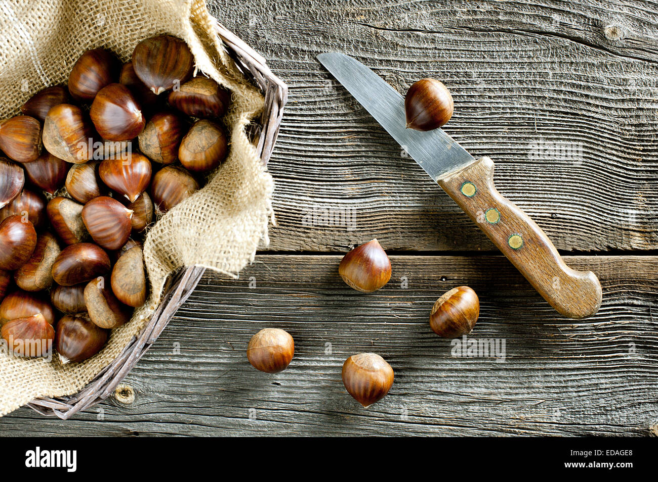 incision sweet chestnut with old knife Stock Photo - Alamy