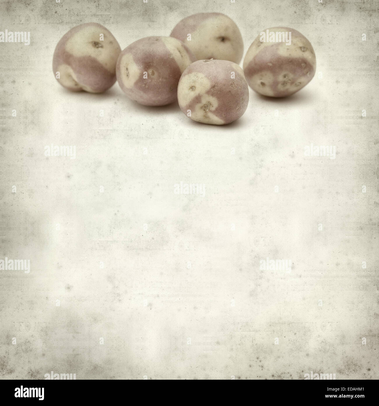 textured old paper background with pink canarian potato Stock Photo - Alamy