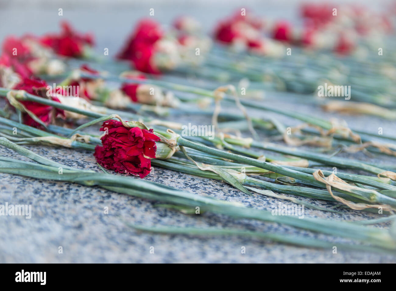 Flowers with monument hi-res stock photography and images - Alamy