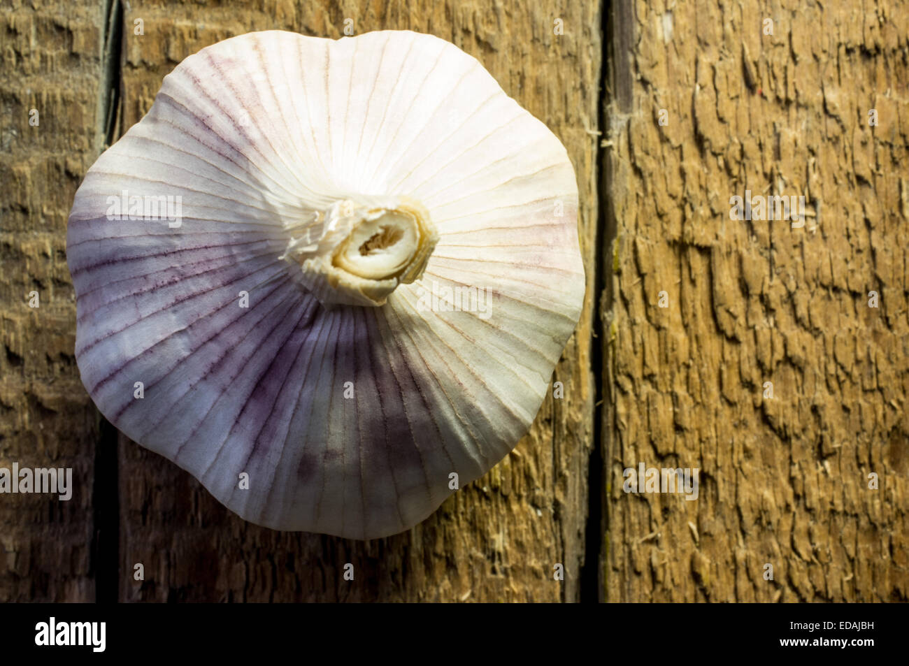 Head of raw garlic begins to grow. Top view Stock Photo - Alamy