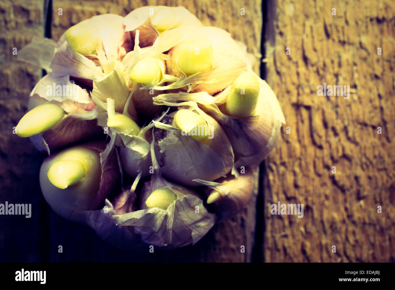 Head of raw garlic begins to grow. Top view Stock Photo - Alamy