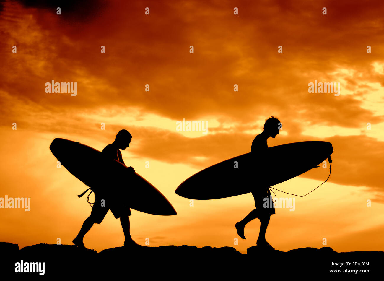 Board surfers hi-res stock photography and images - Alamy