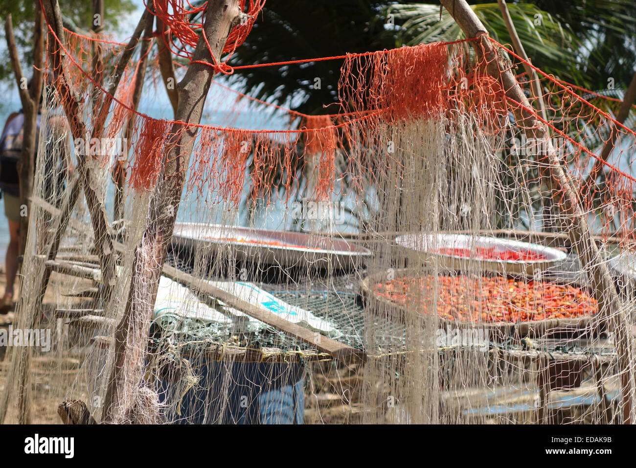Sun dried chili peppers and dried fish on plates behind fish nets. Sea ...