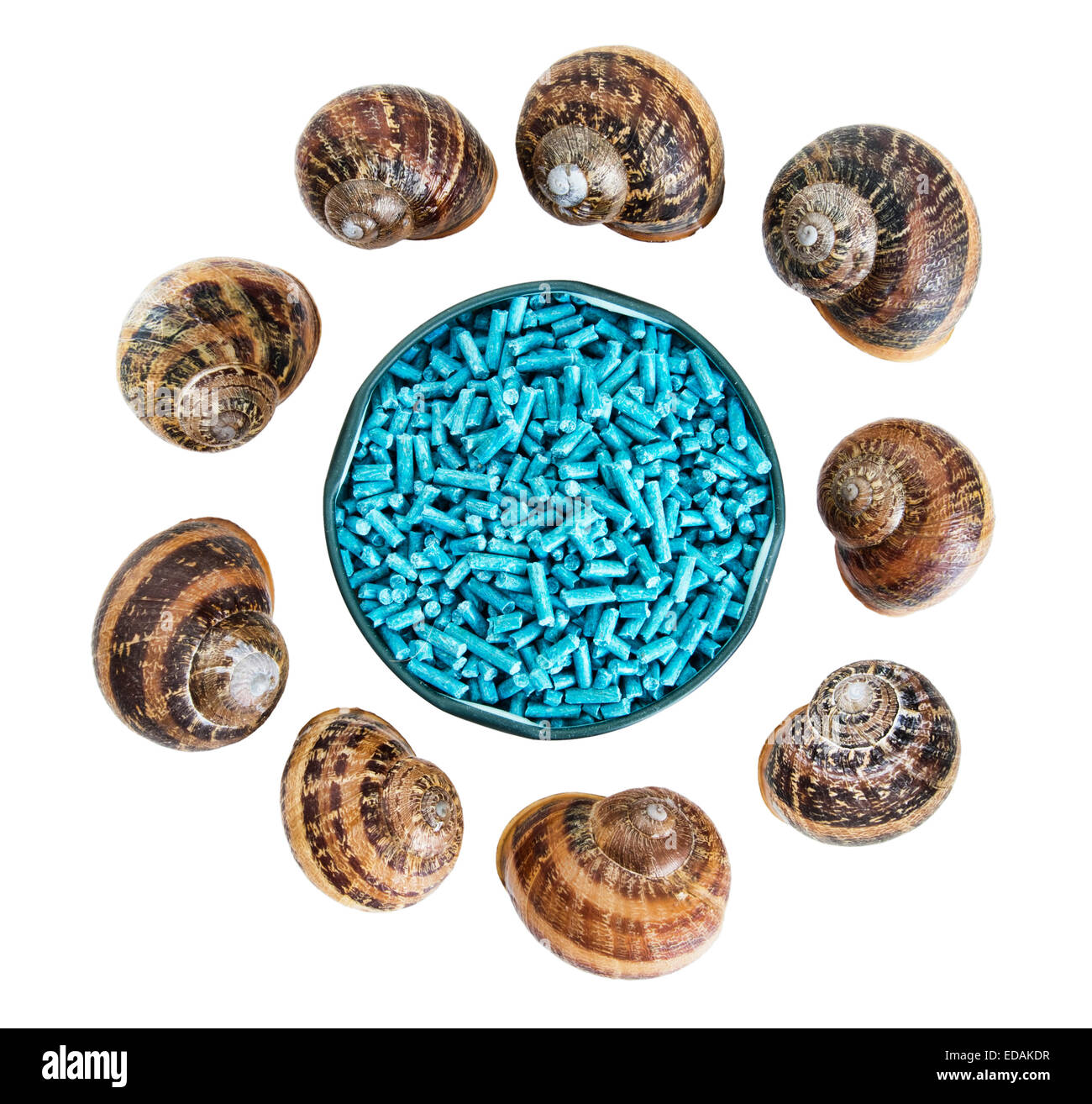 Blue metaldehyde pellets hi-res stock photography and images - Alamy