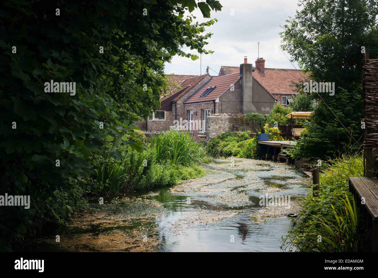Cheddar river hi-res stock photography and images - Alamy