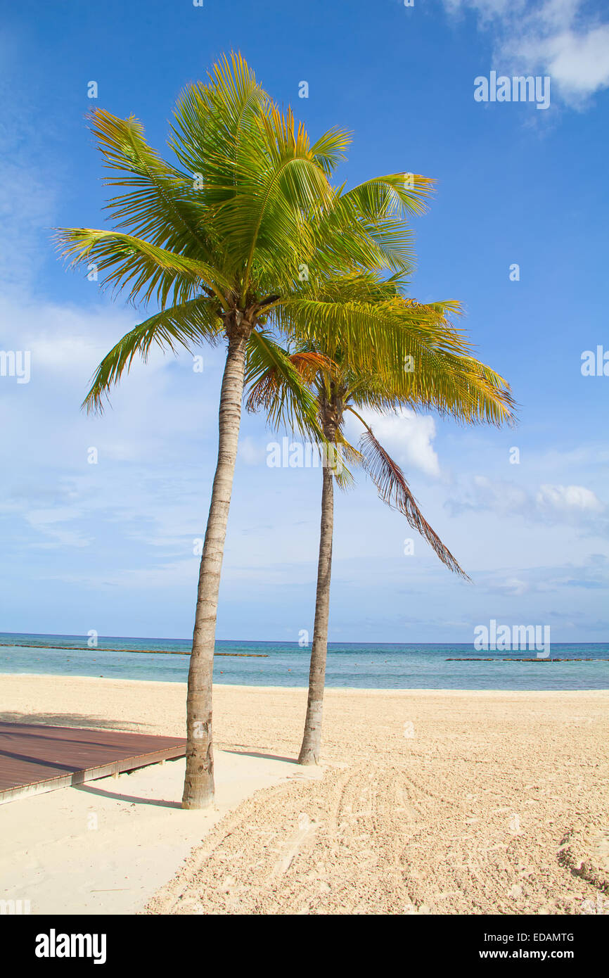 Sandy beach in Cancun, Mexico Stock Photo - Alamy
