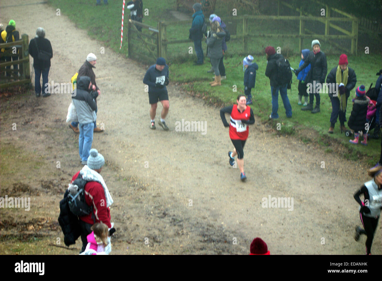 Spawned hi-res stock photography and images - Alamy