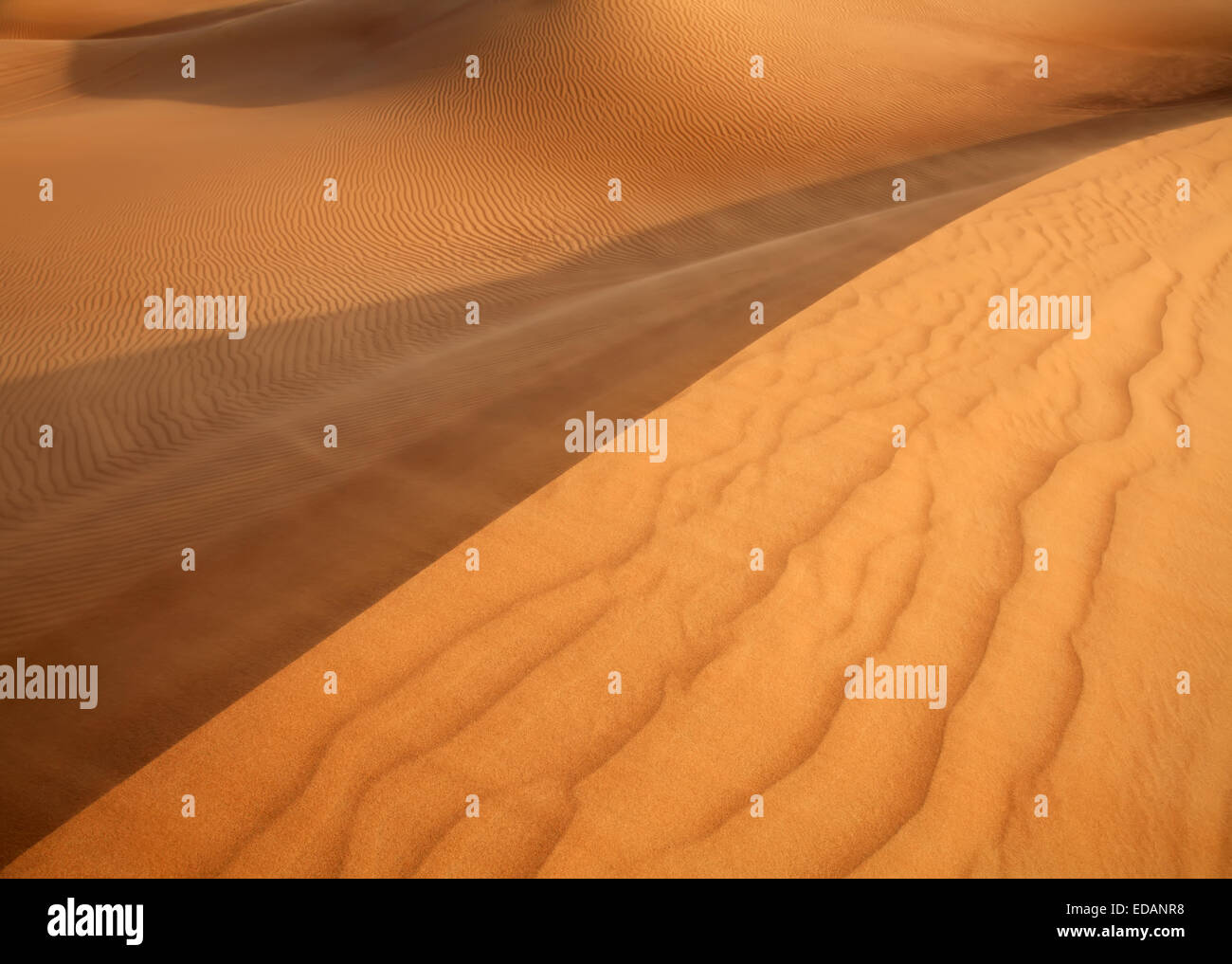 Saudi oil camel hi-res stock photography and images - Alamy