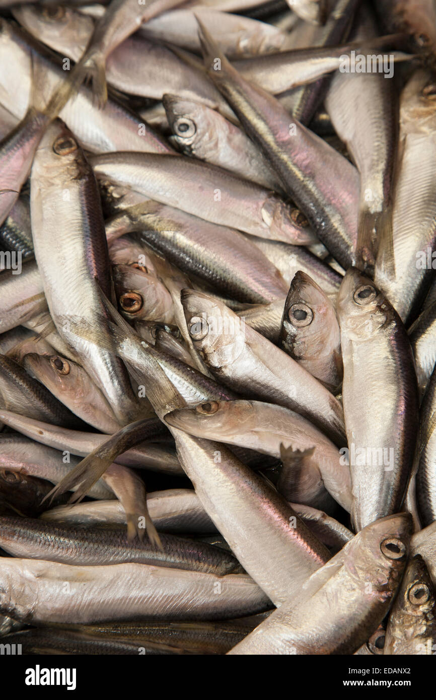 Fish Background - Central Market, Riga Stock Photo - Alamy