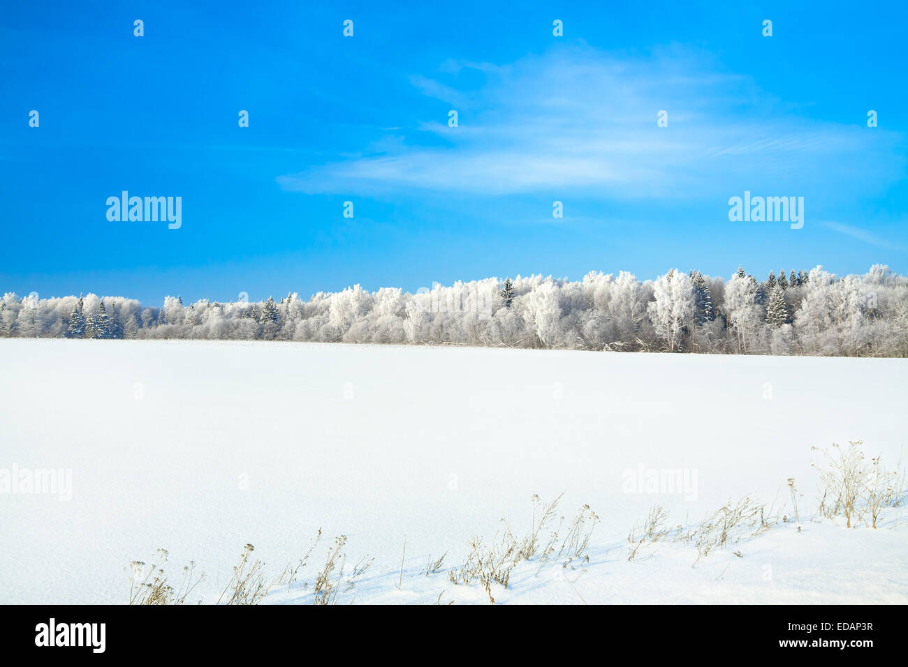 Field in the winter hi-res stock photography and images - Alamy