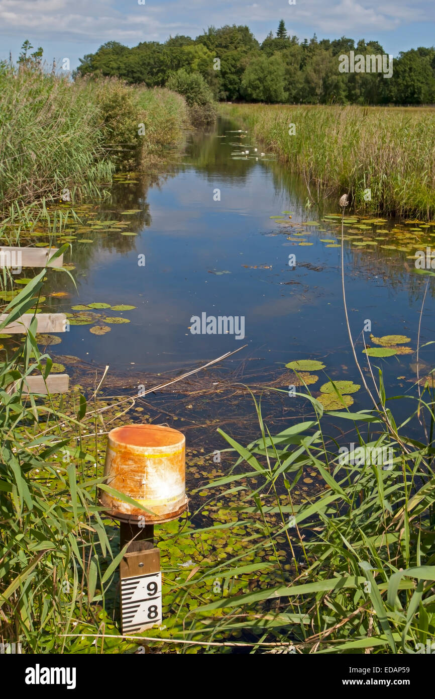 Dyke showing water level, Sutton Fen RSPB Reserve, Norfolk UK Stock ...
