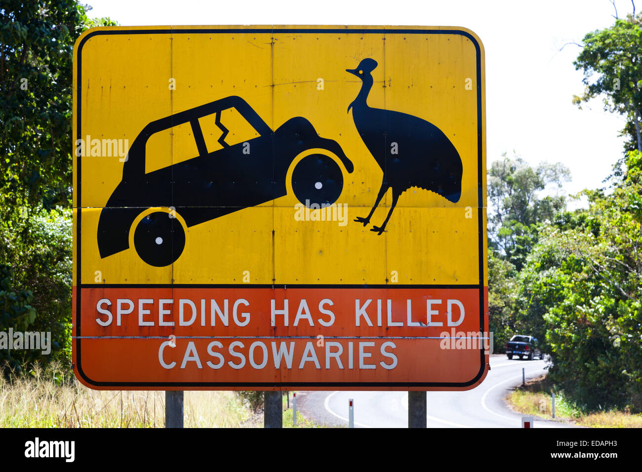 Sign to look out for cassowaries,Mission Beach,Queensland Stock Photo ...