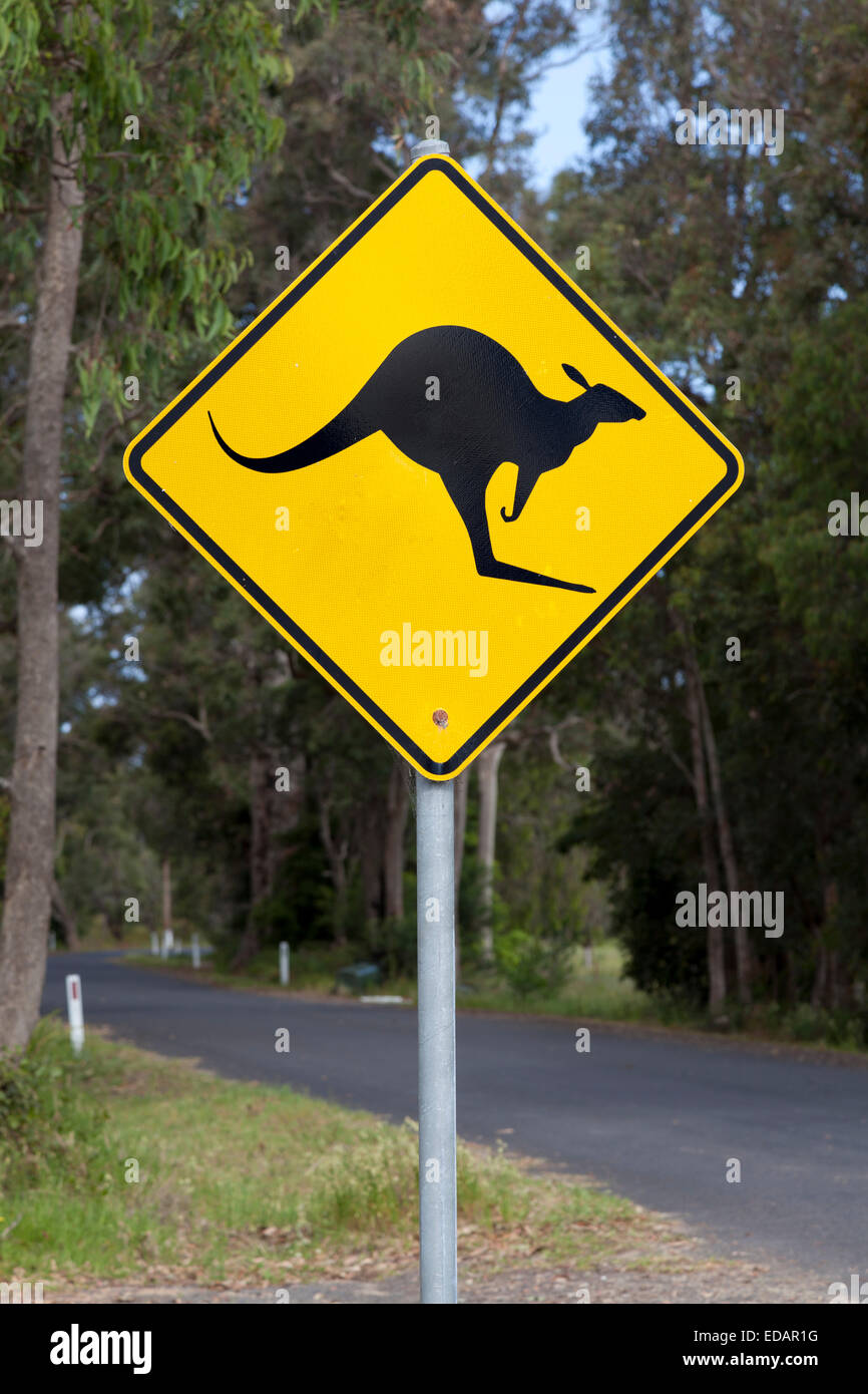 Warning sign for kangaroo in Victoria, australia Stock Photo - Alamy