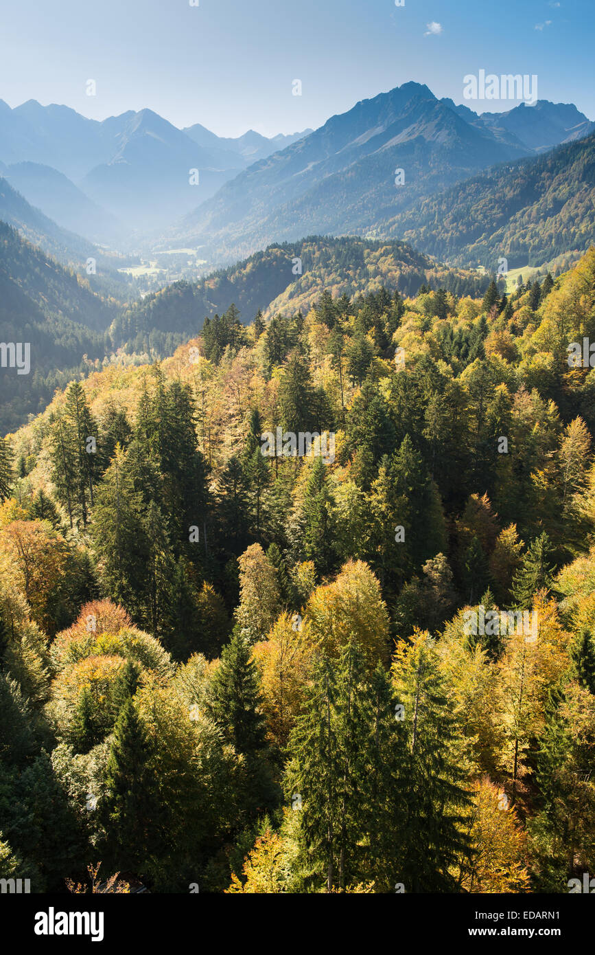 Mountain forest in fall with mountains in the backlight Stock Photo - Alamy