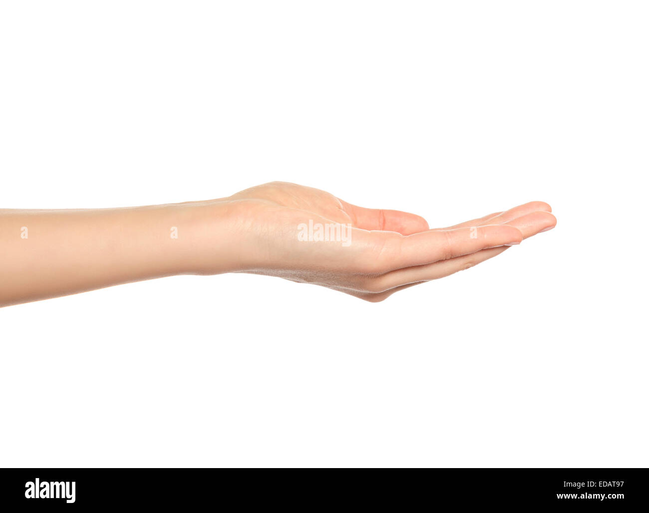 Open a woman's hand, palm up Stock Photo - Alamy