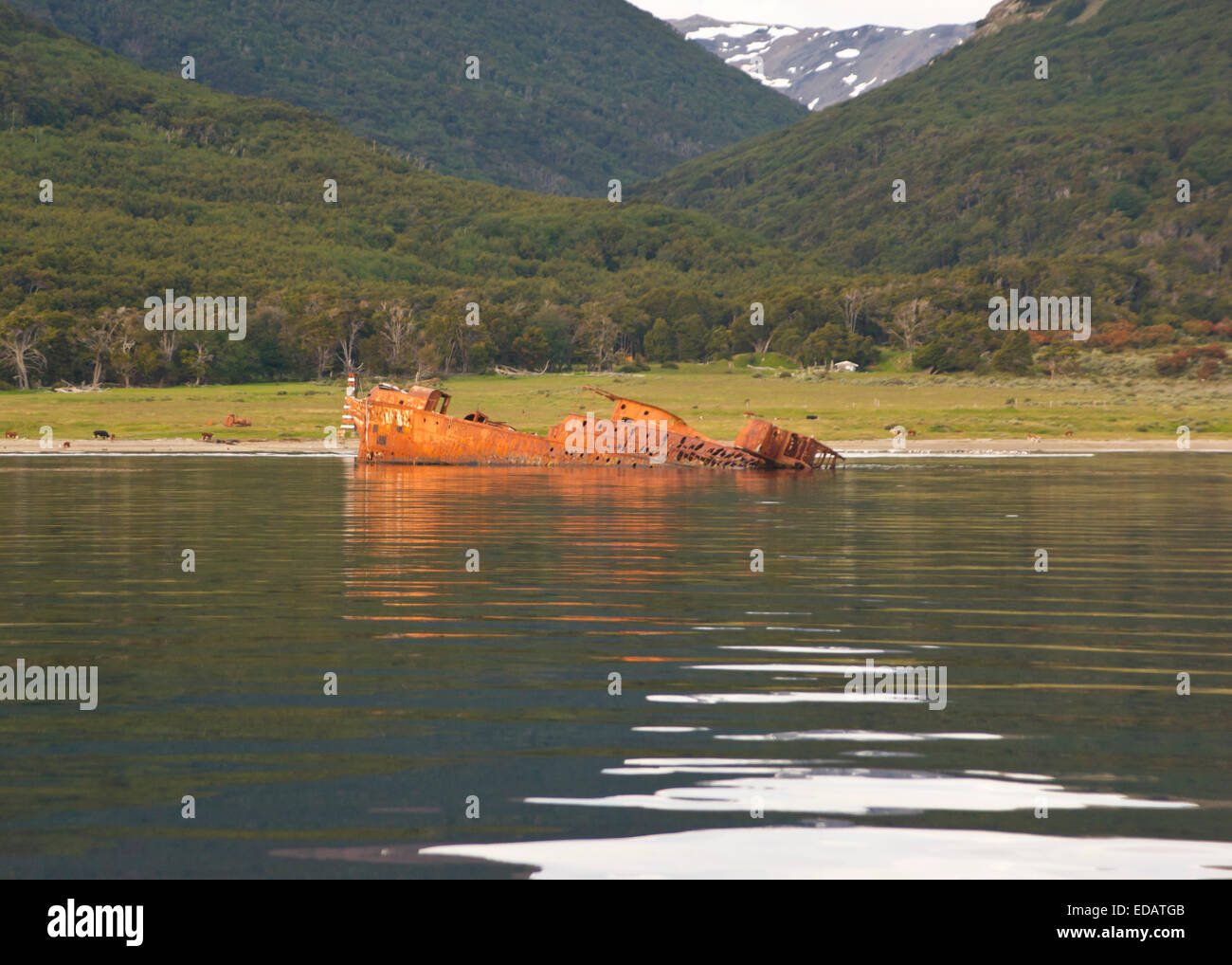 Didn t Make It Stock Photo Alamy didn-t-make-it-stock-photo-alamy