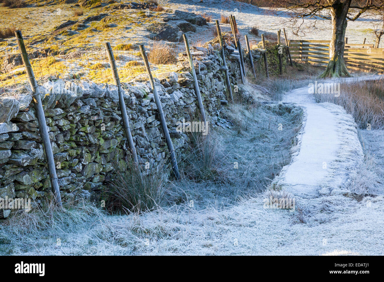A frosted path and stone wall near Moss Eccles Tarn, near Near Sawrey ...