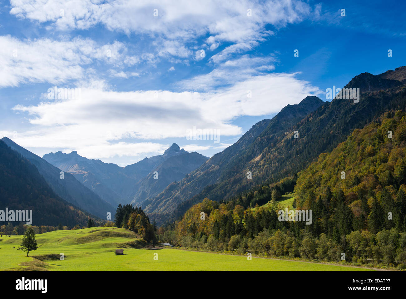 Mountain valley with mountains and meadow in Germany Stock Photo - Alamy