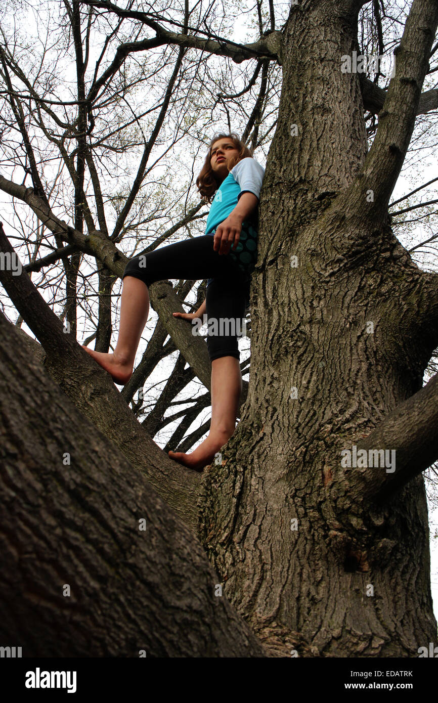 Girl maple tree hi-res stock photography and images - Alamy