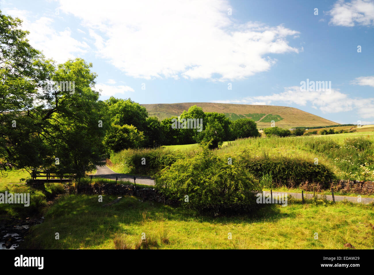 A green hill with tall trees and a path Stock Photo - Alamy