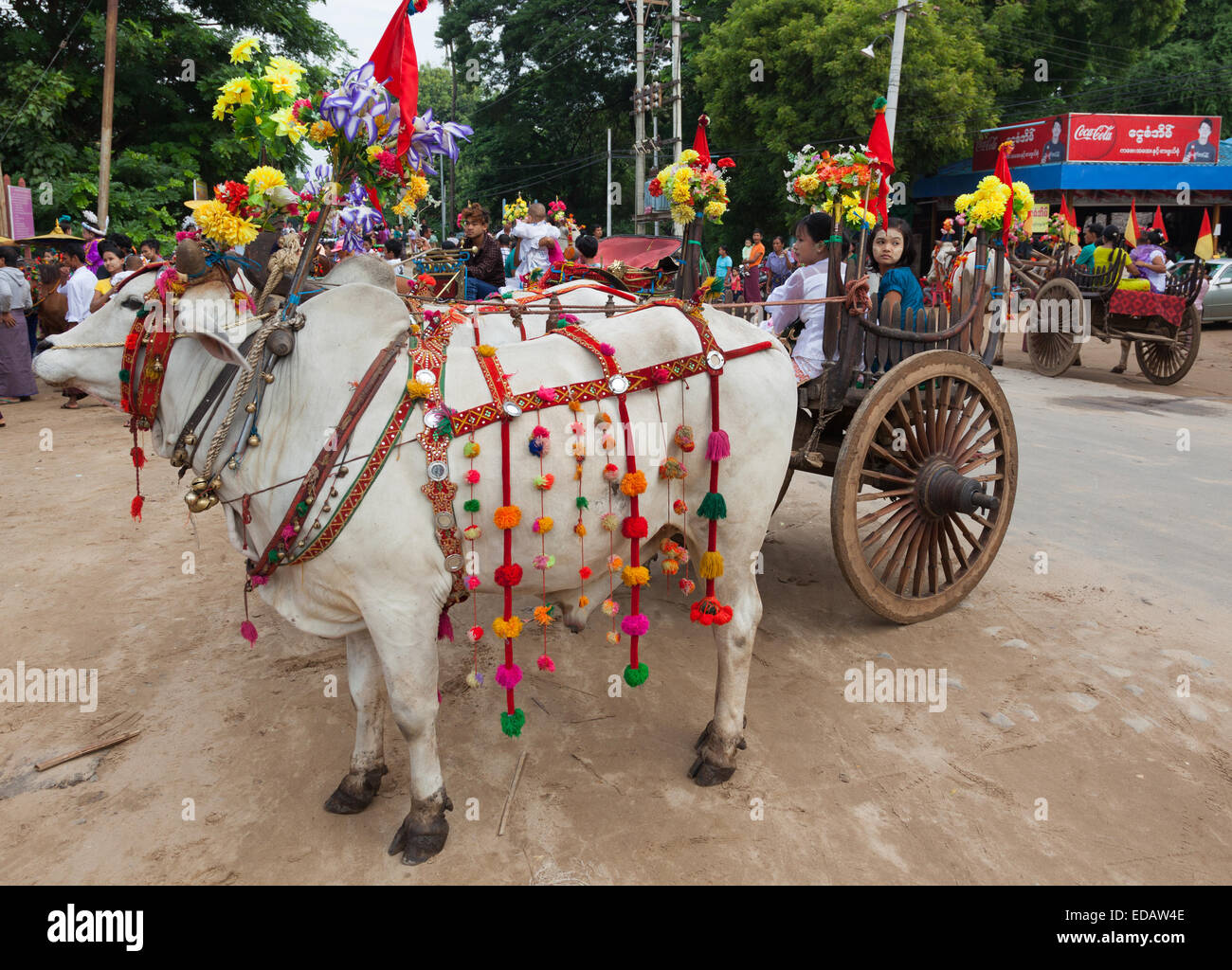 Decorated cow and cart, Initiation Ceremony, Bagan, Myanmar Stock Photo ...