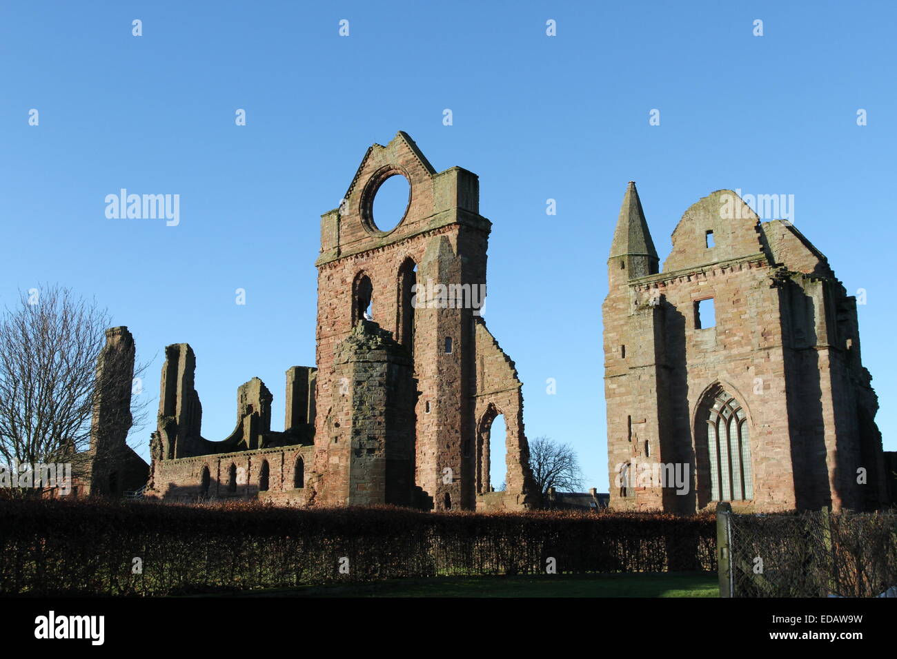 Abroath abbey scotland hi-res stock photography and images - Alamy