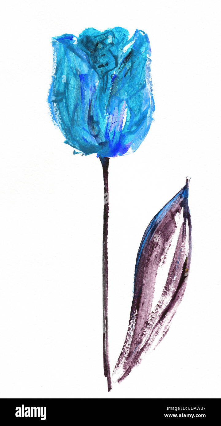 Tulip. One flower isolated on white Stock Photo - Alamy