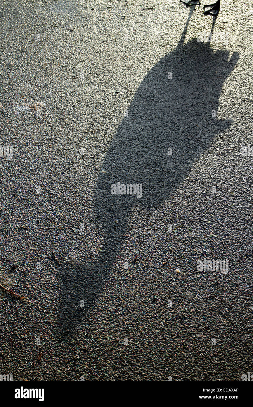 Goose shape hi-res stock photography and images - Alamy