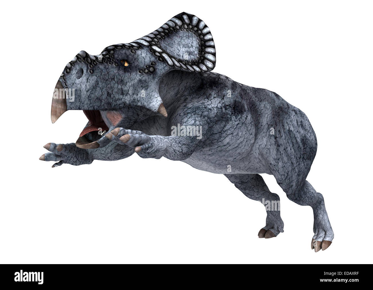 3D digital render of a dinosaur protoceratops isolated on white ...