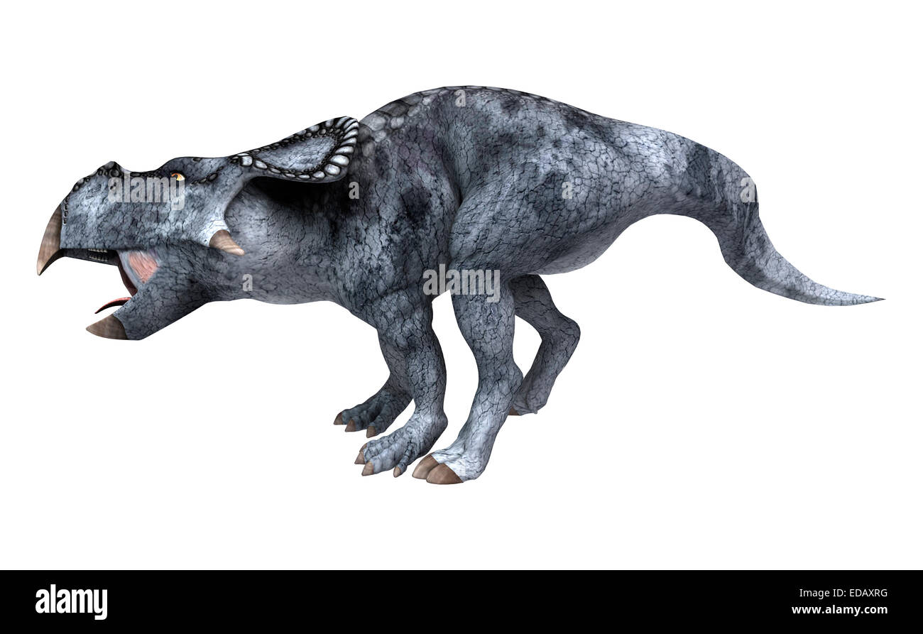 3D digital render of a dinosaur protoceratops isolated on white ...