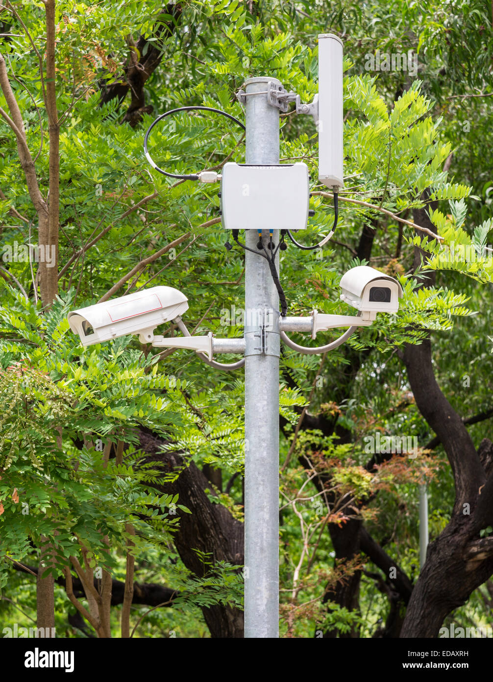 Thief cctv hi-res stock photography and images - Alamy