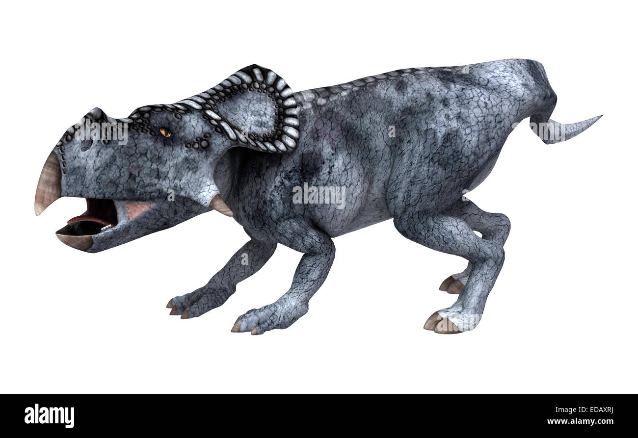 3D digital render of a dinosaur protoceratops isolated on white ...