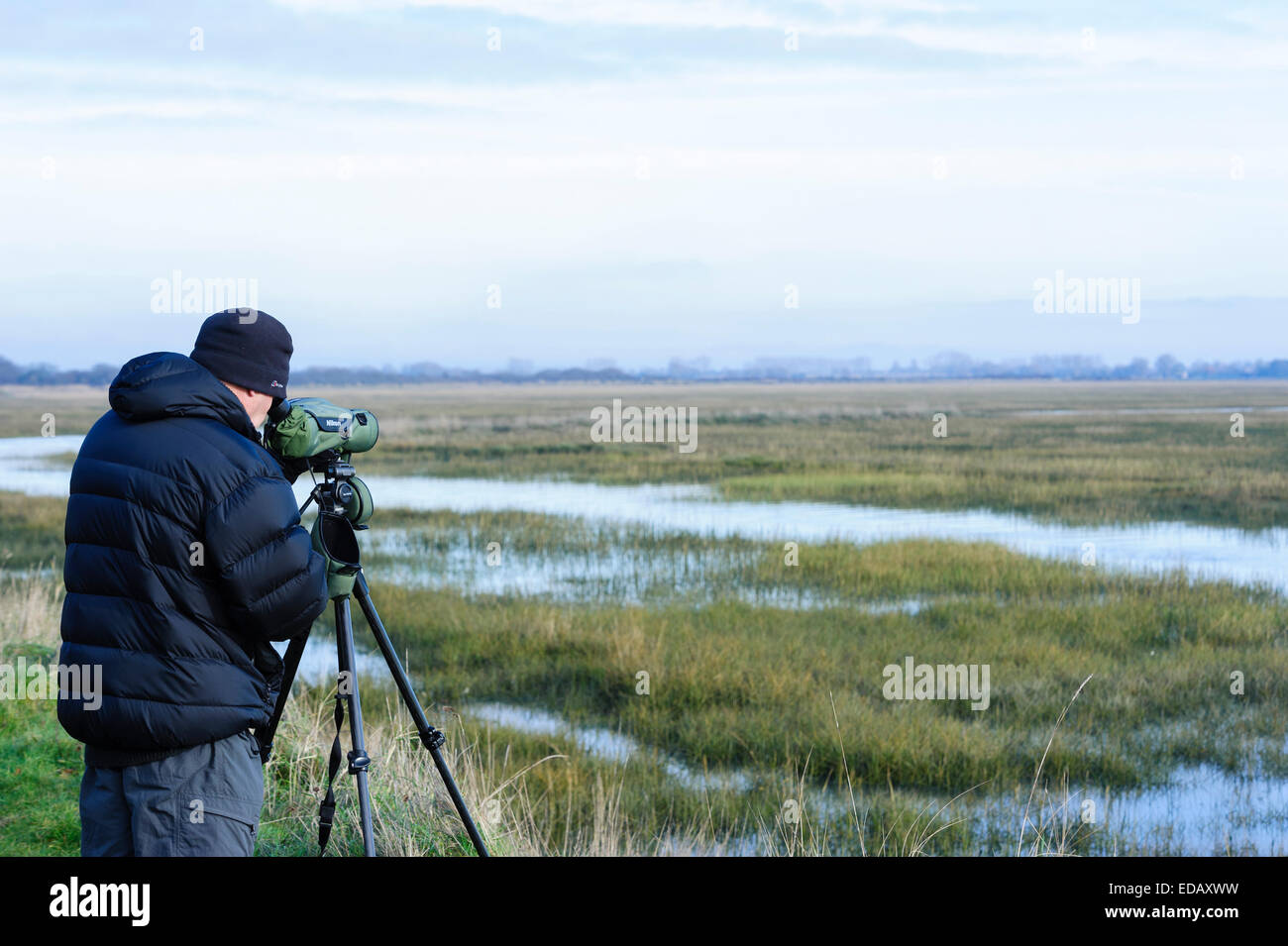 Birdwatching High Resolution Stock Photography and Images - Alamy