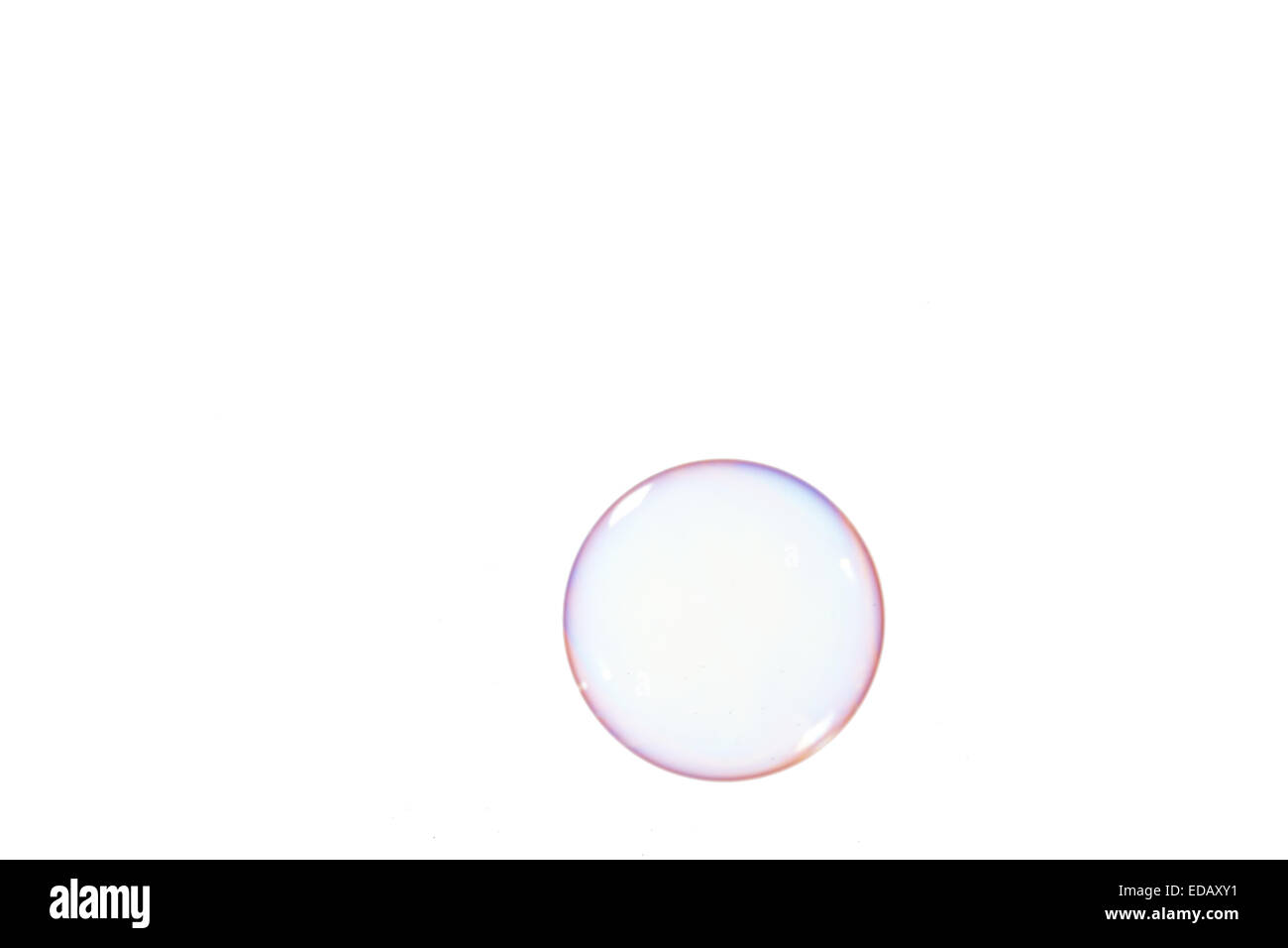 One soap bubble on a white background Stock Photo - Alamy