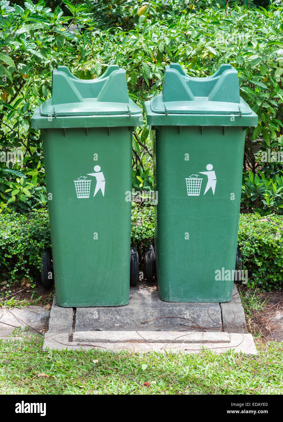 Twin green bin on the tropical garden in the park Stock Photo - Alamy