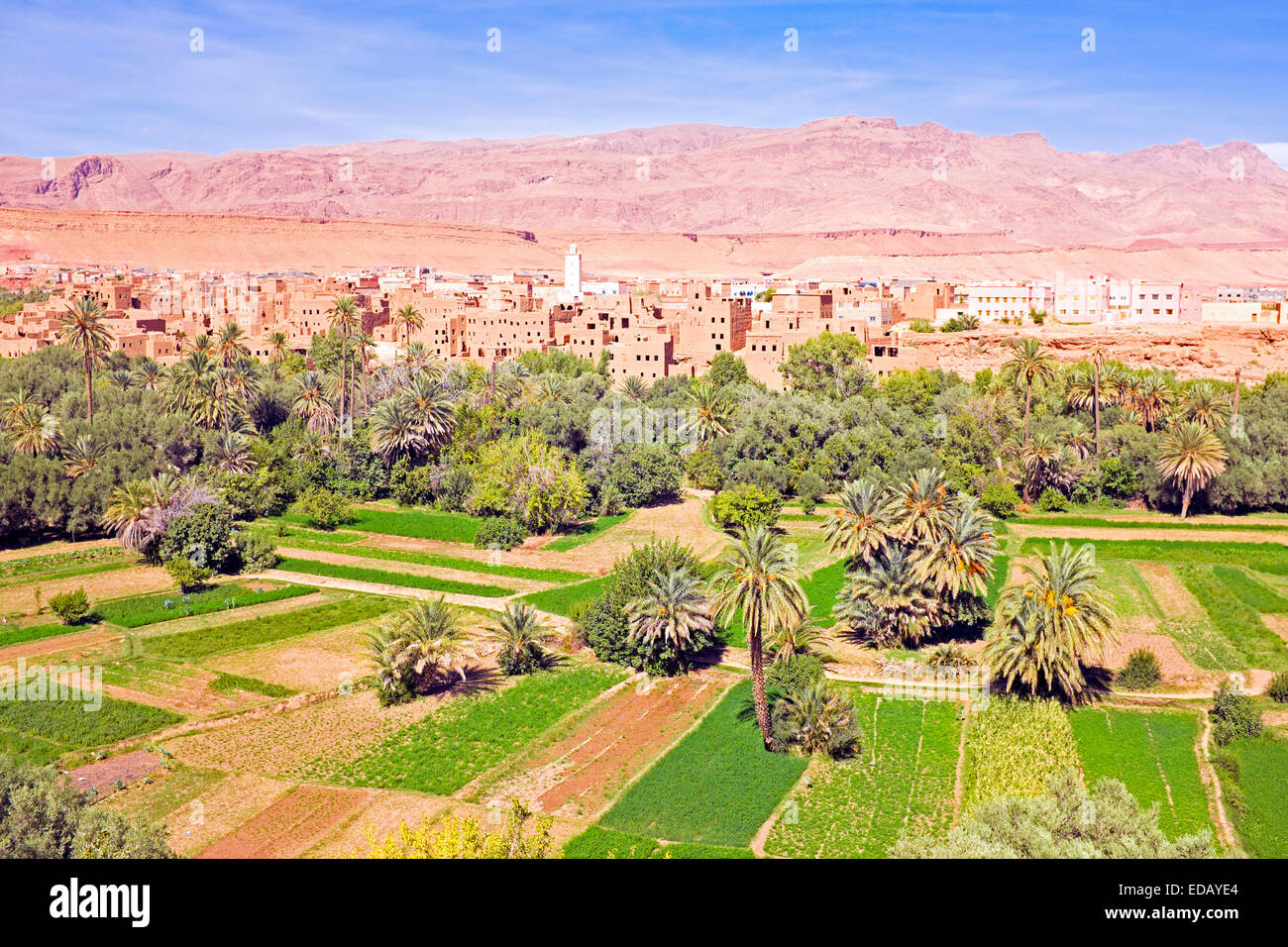 Oasis in the dade valley in Morocco Africa Stock Photo - Alamy