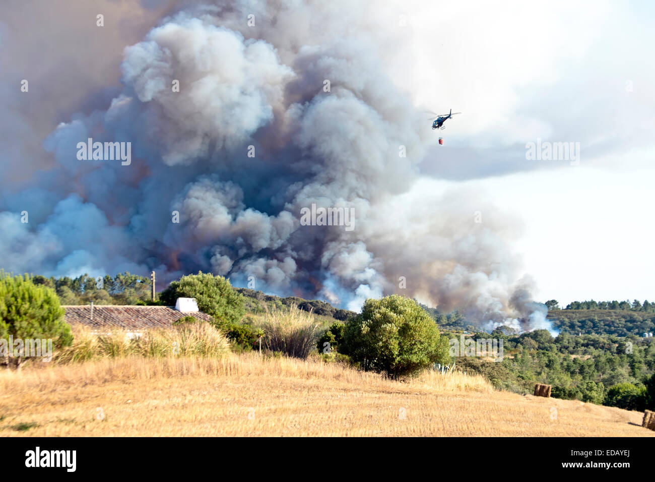 Forest fire in the countryside from Portugal Stock Photo - Alamy
