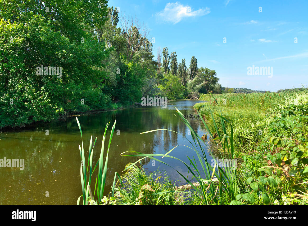 Small river with bushy banks at the summer day Stock Photo - Alamy