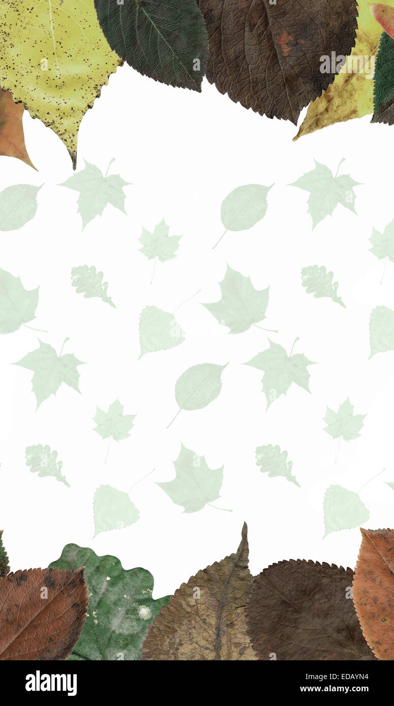 frame of autumn leaves Stock Photo - Alamy