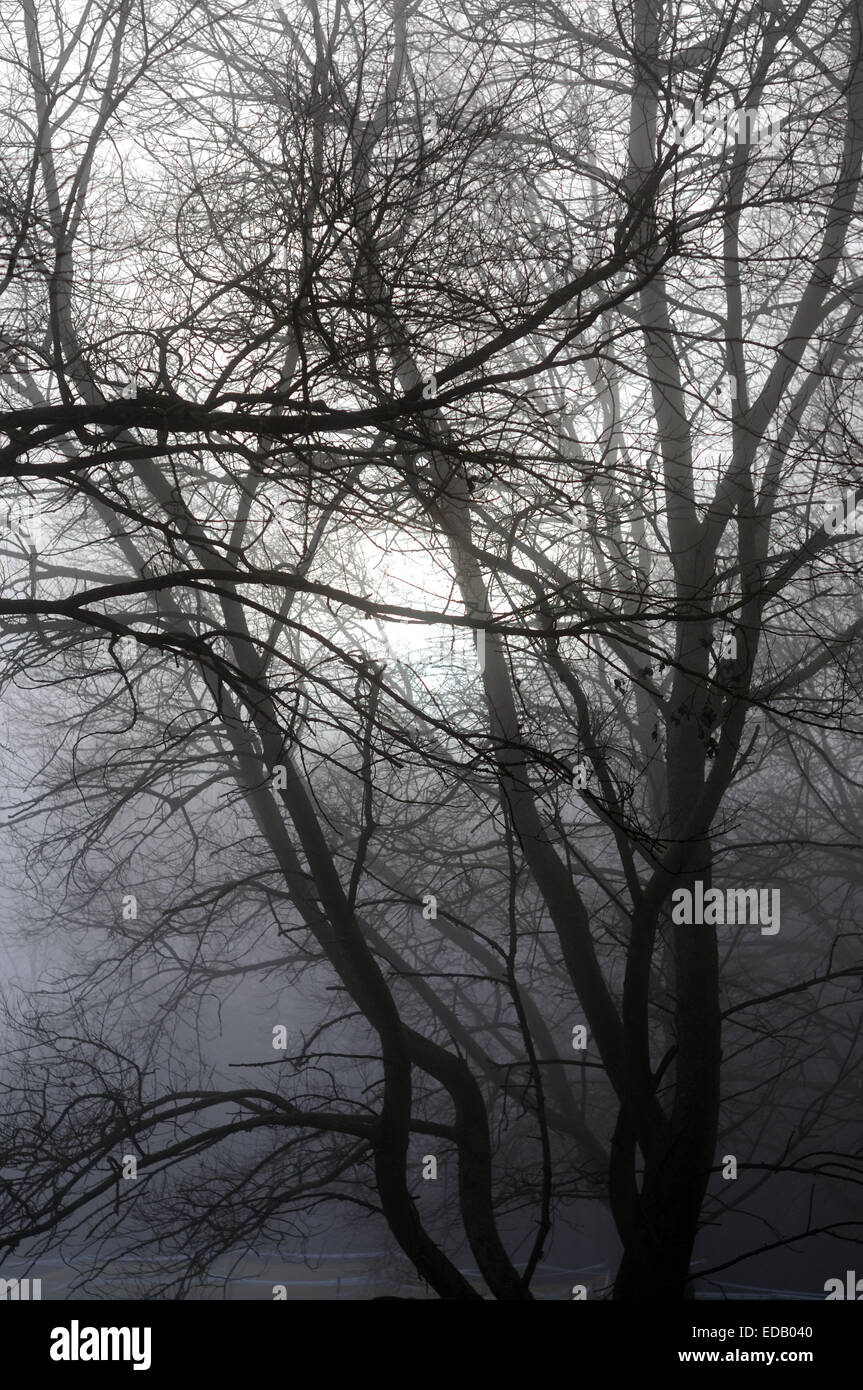 Freezing fog derbyshire hi-res stock photography and images - Alamy
