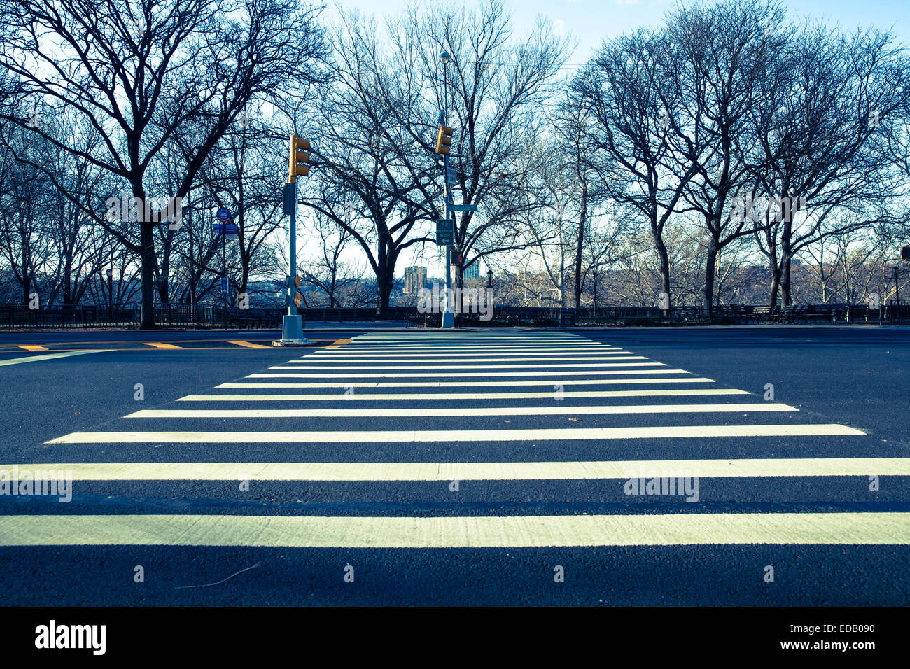 Crosswalk and trees hi-res stock photography and images - Alamy