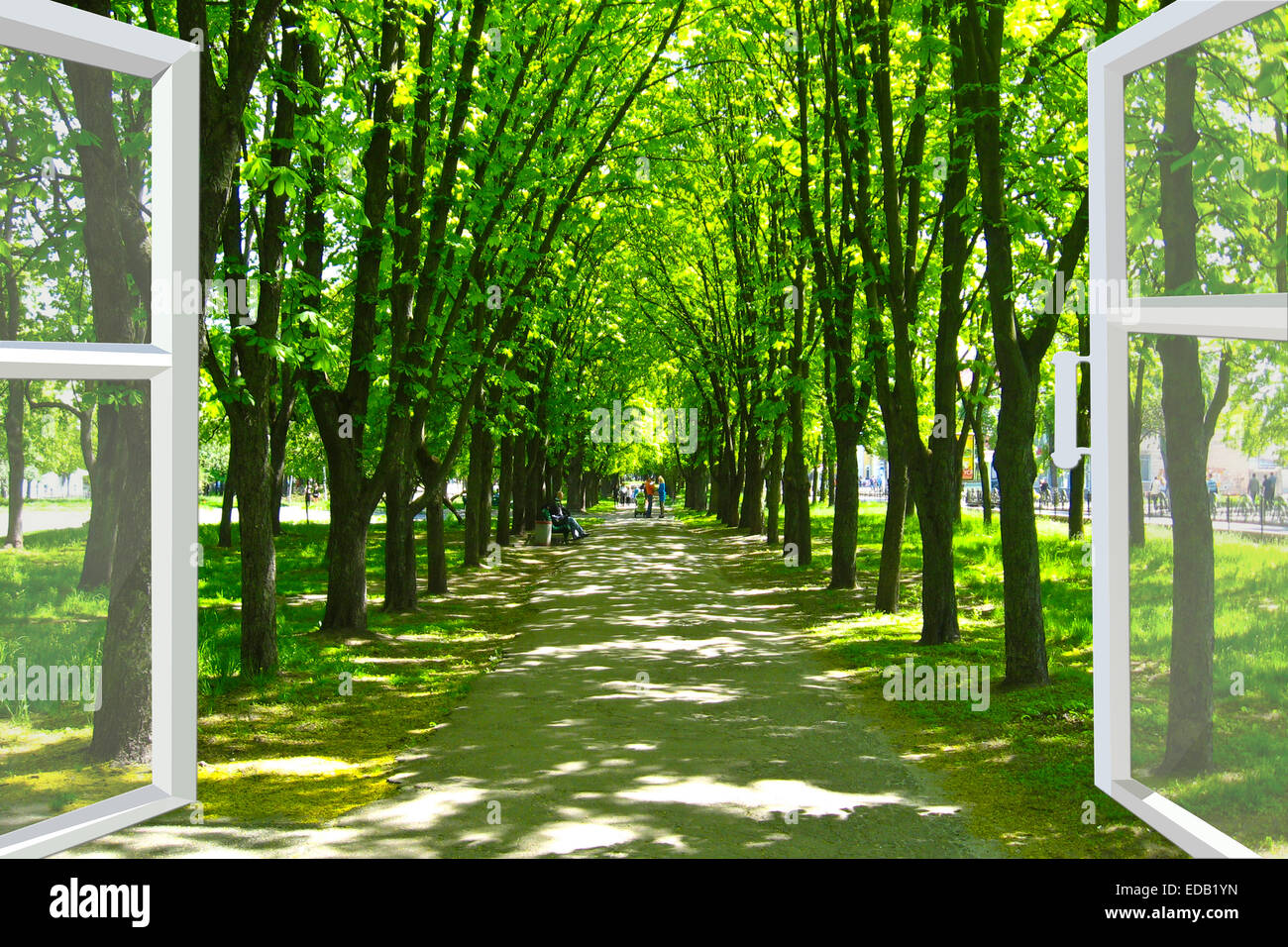 window opened to the beautiful city park with path and green trees ...