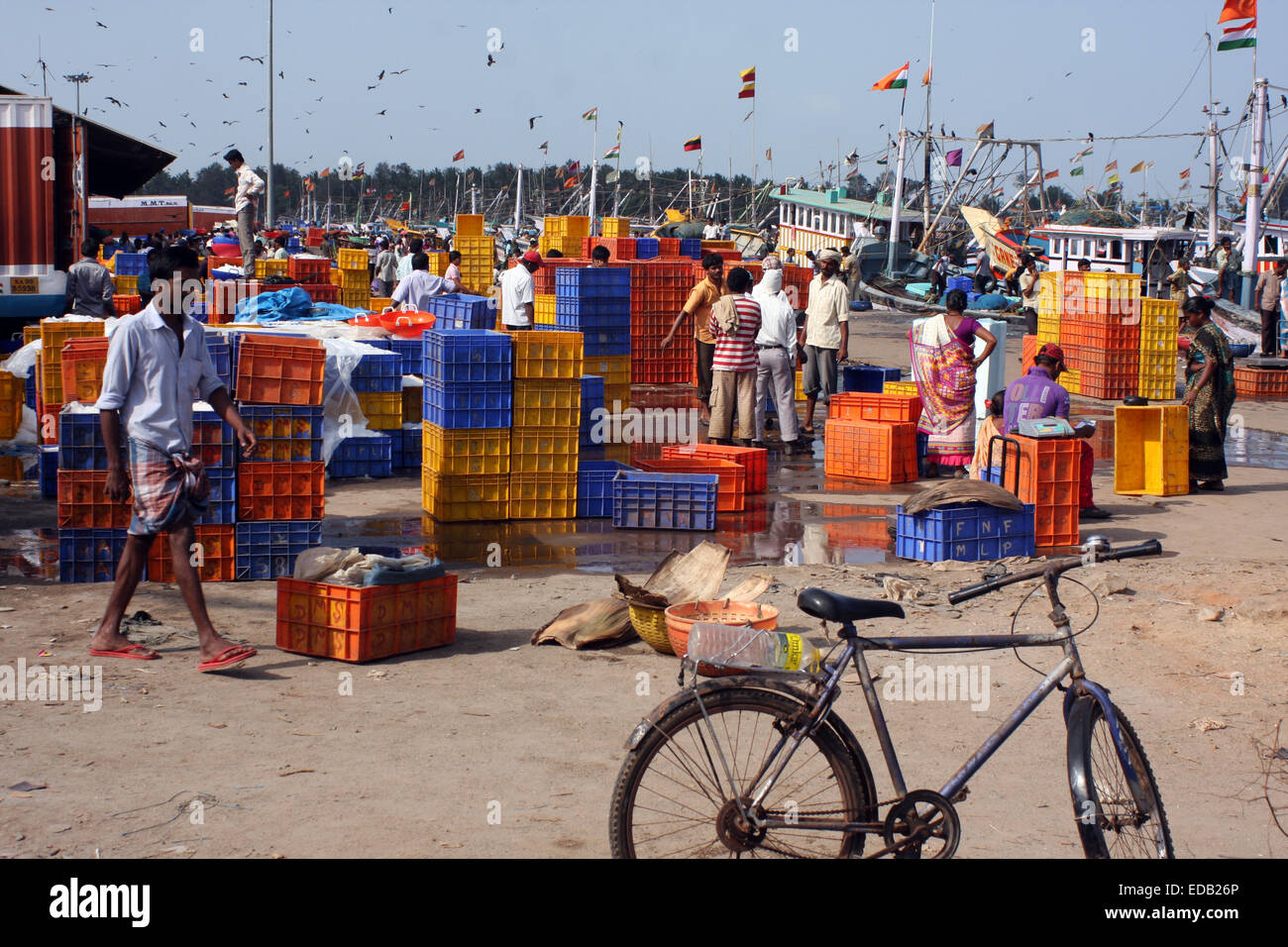 Harbour and fish market, Malpe, Karnataka, India Stock Photo - Alamy